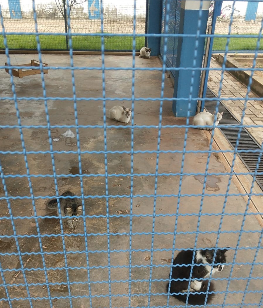 Prefeitura de Rondonópolis | Com lotação, CIBEAR faz alerta à sociedade ...